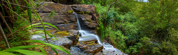 The 10 Best Hikes on Guam | A Local's Guide